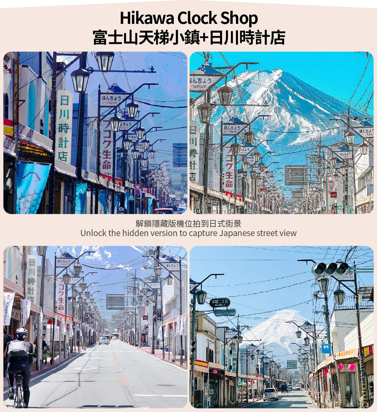 [Tokyo Mt. Fuji｜Flower Viewing｜Japanese lunch available, Muslim lunch ...